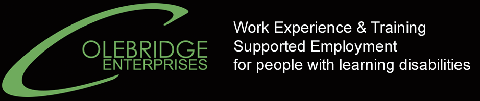 Colebridge Enterprises | Colebridge Enterprises – Assembly / Packaging ...